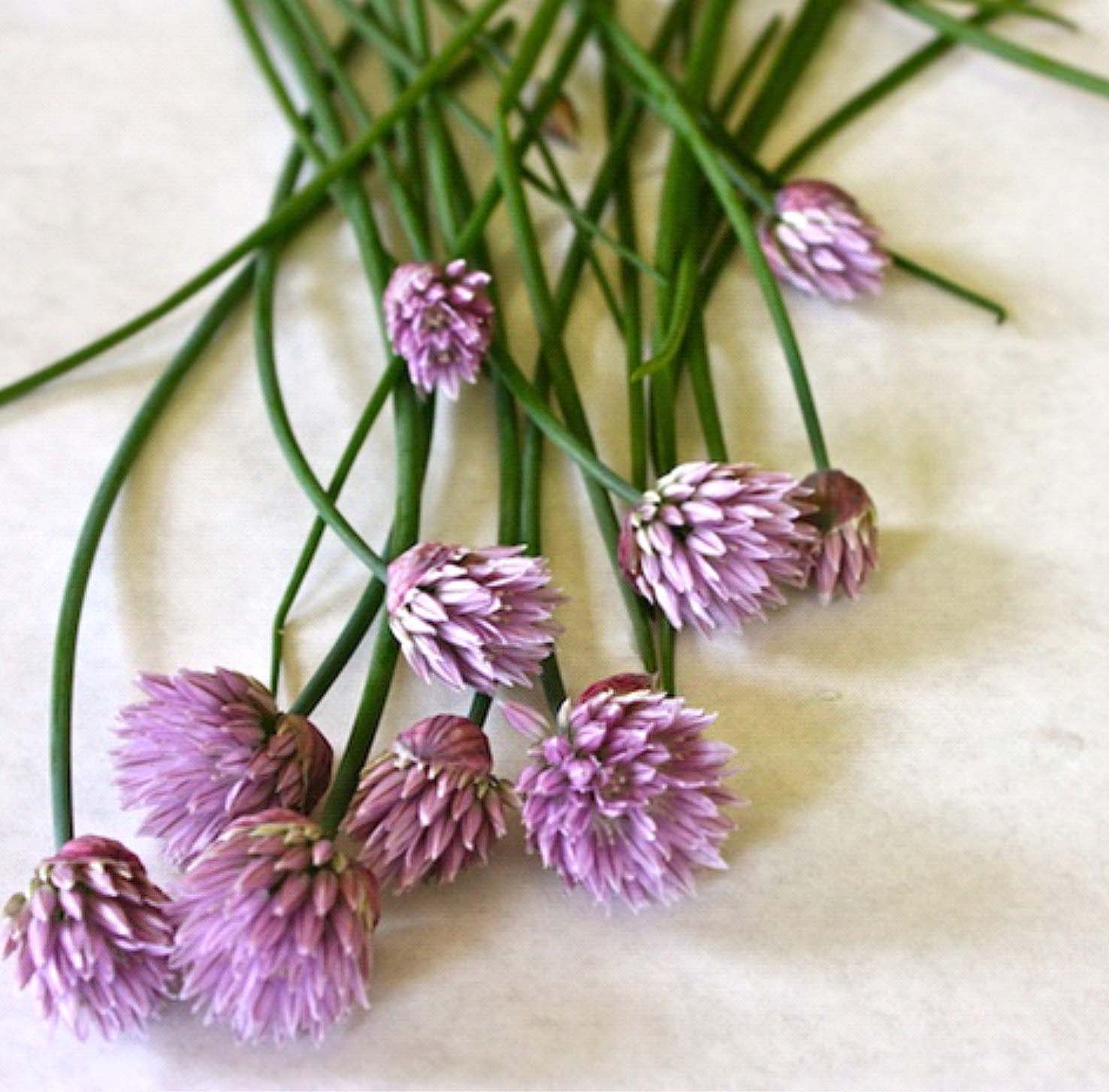 Chive oil – Fine Dining for You